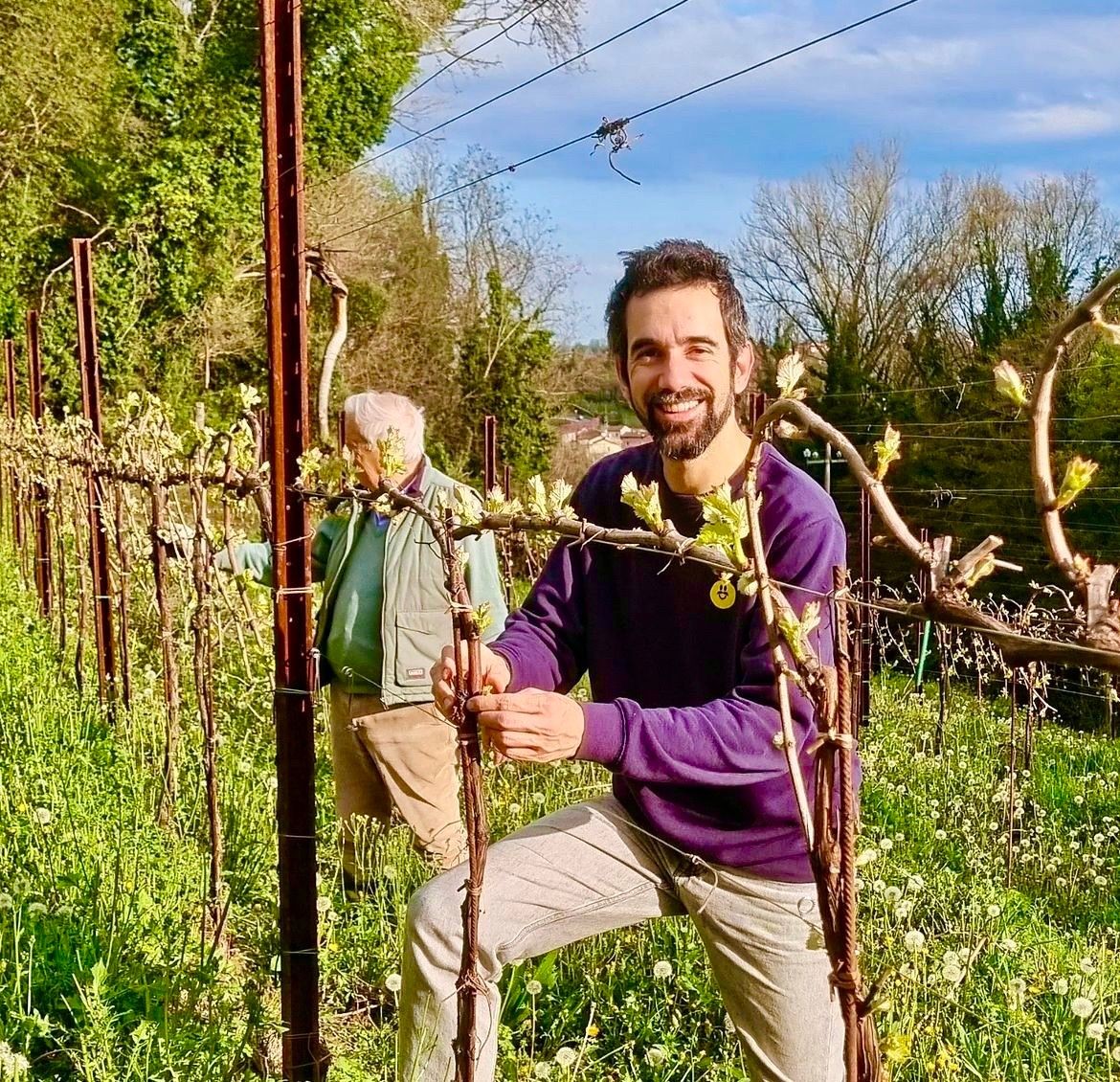 Uncover Rare Italian Craft Wine & Spirits Online at Merum